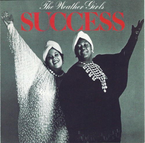 It's Raining Men by The Weather Girls from the album Success